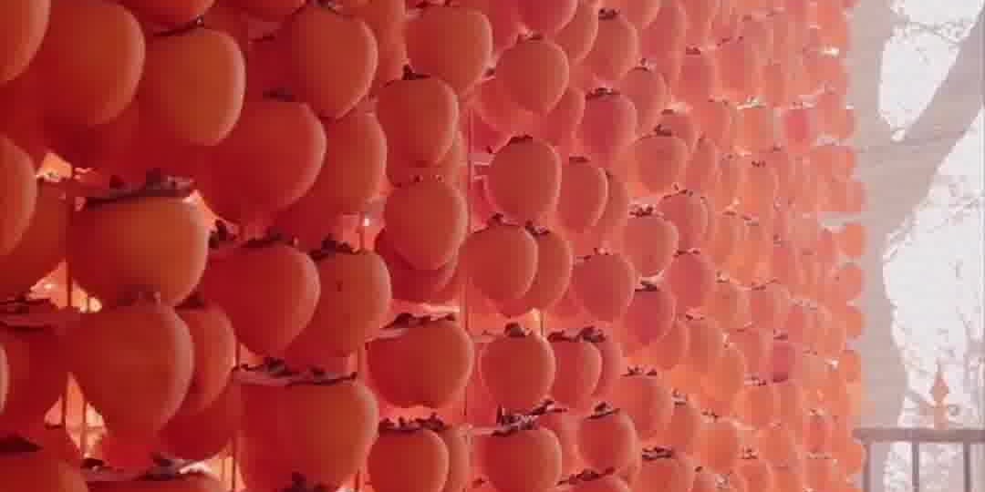 OMG | Taste of China: Traditional dried persimmons