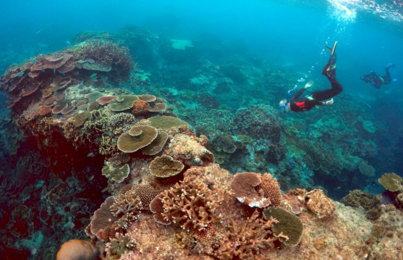 Australia's Great Barrier Reef removed from UNESCO danger list