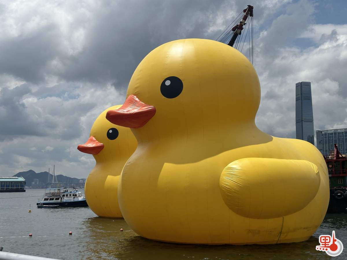 Duck's return | Visitors excited about 'Double Ducks' in Victoria Harbour