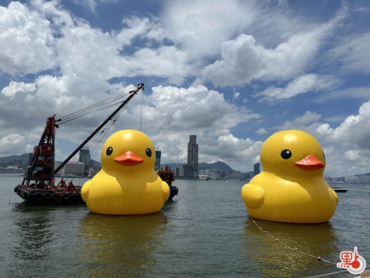Duck's return | Visitors excited about 'Double Ducks' in Victoria Harbour
