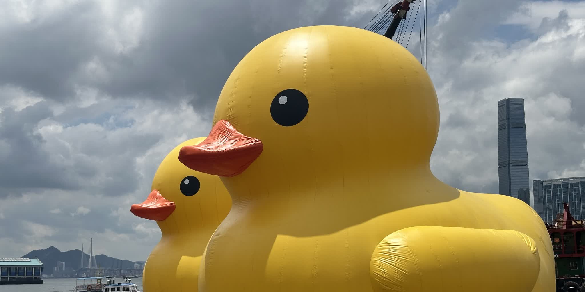 Duck's return | Visitors excited about 'Double Ducks' in Victoria Harbour