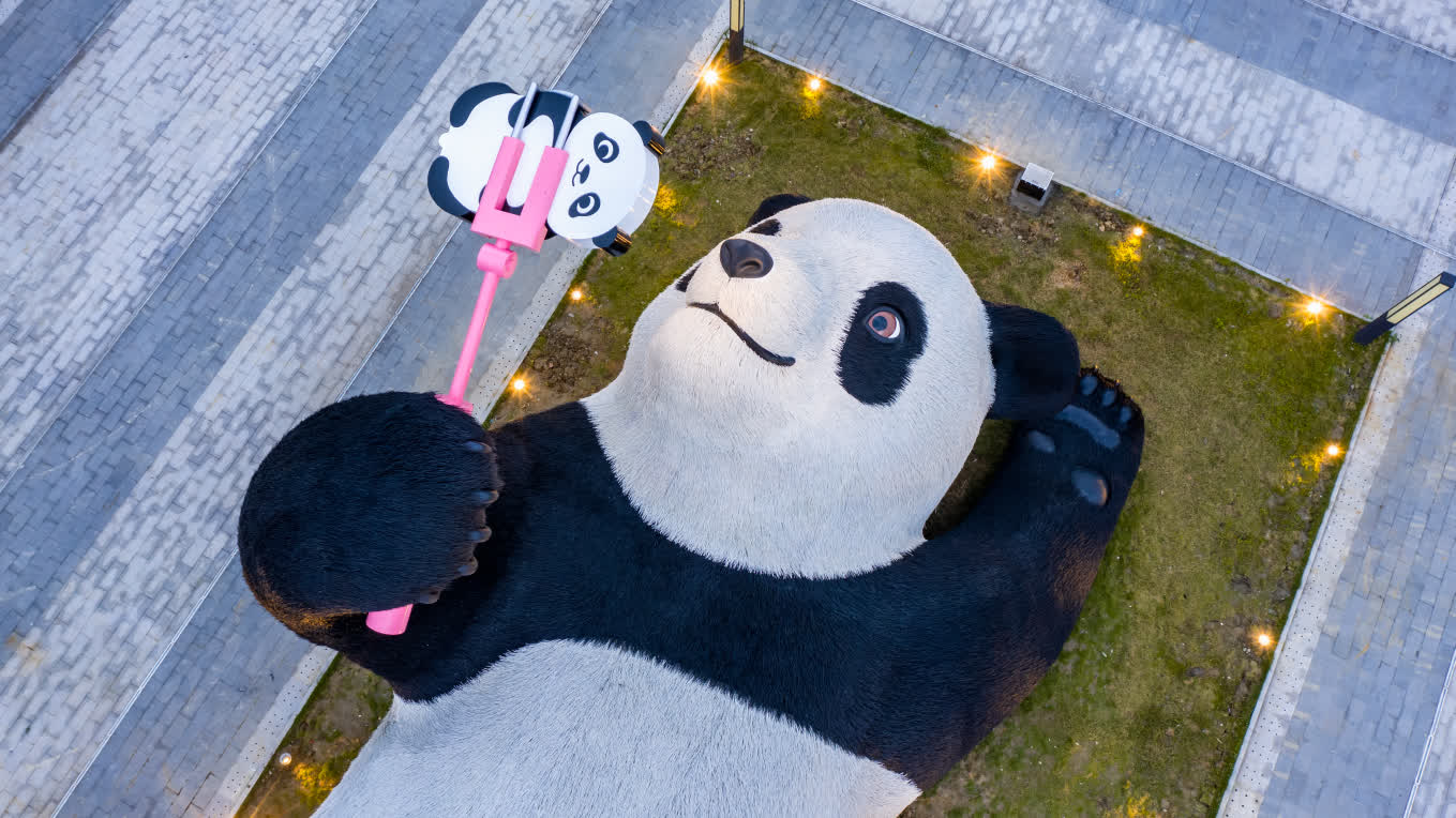 HK advised to develop 'Panda Economy'