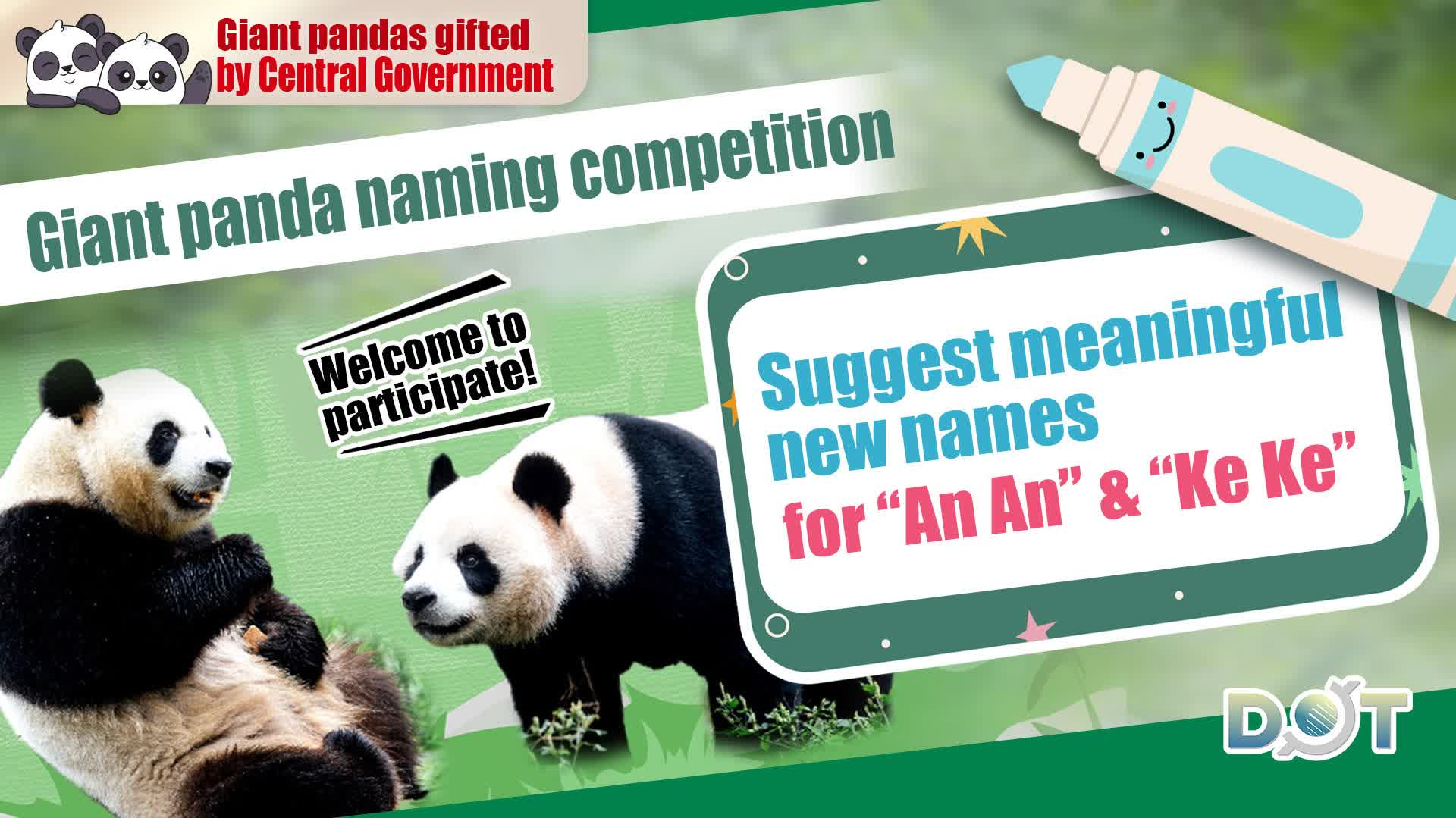 Giant Panda Naming Competition open to HK residents from Oct. 2 to Oct. 27