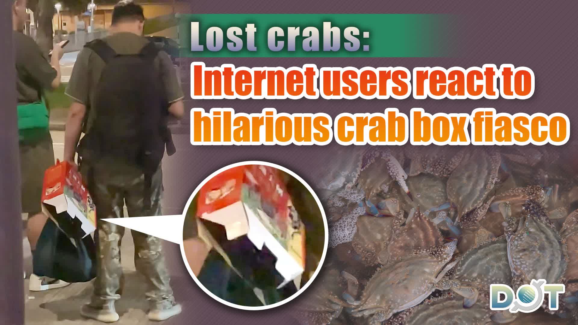 Lost crabs: Internet users react to hilarious crab box fiasco