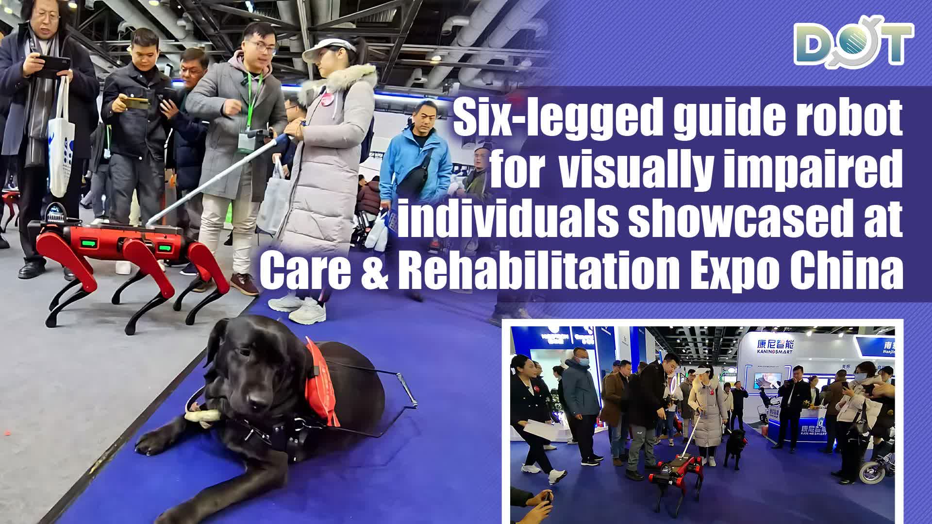 Six-legged guide robot for visually impaired individuals showcased at ...