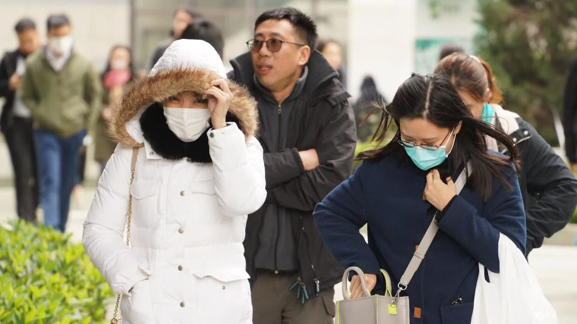 Cold to drop again after Minor Cold, with a low of 12 degrees next week