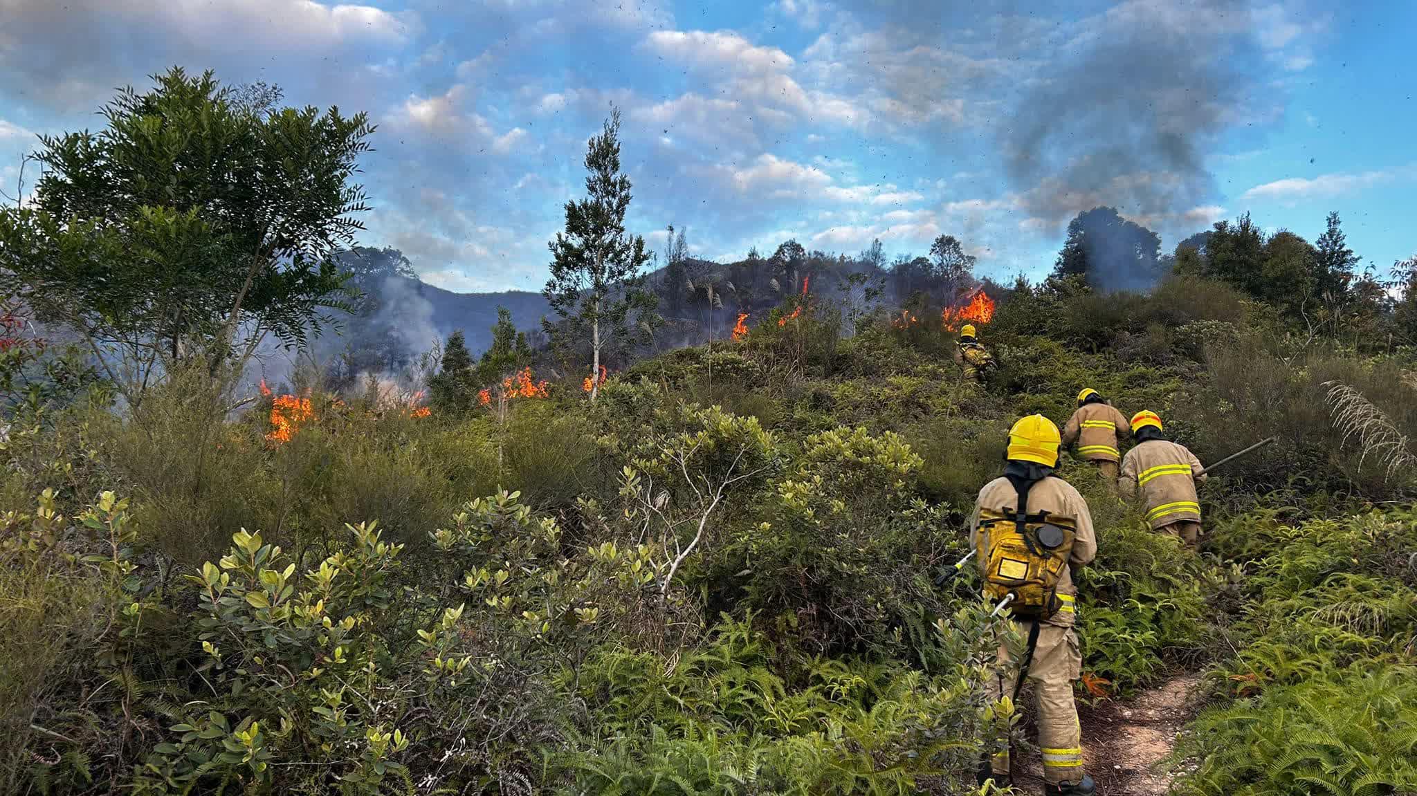 Vegetation fire at Sze Shan in Lantau Island put under control