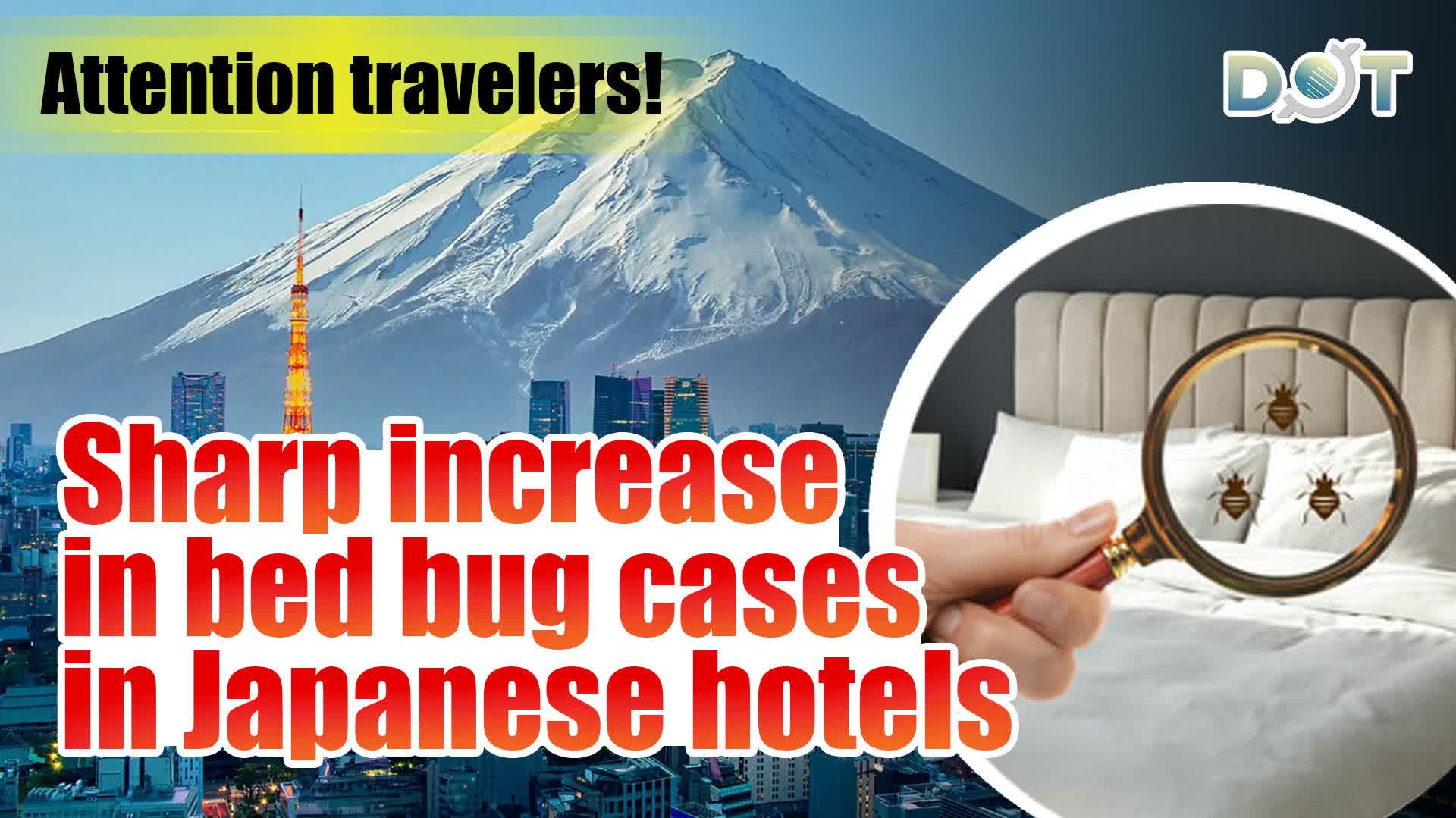 Attention travelers! Sharp increase in bed bug cases in Japanese hotels
