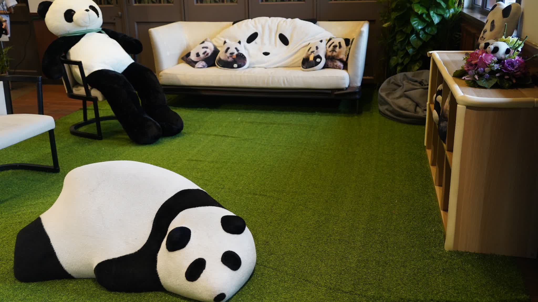 HK to boost 'panda economy' to attract more tourists, says Rosanna Law