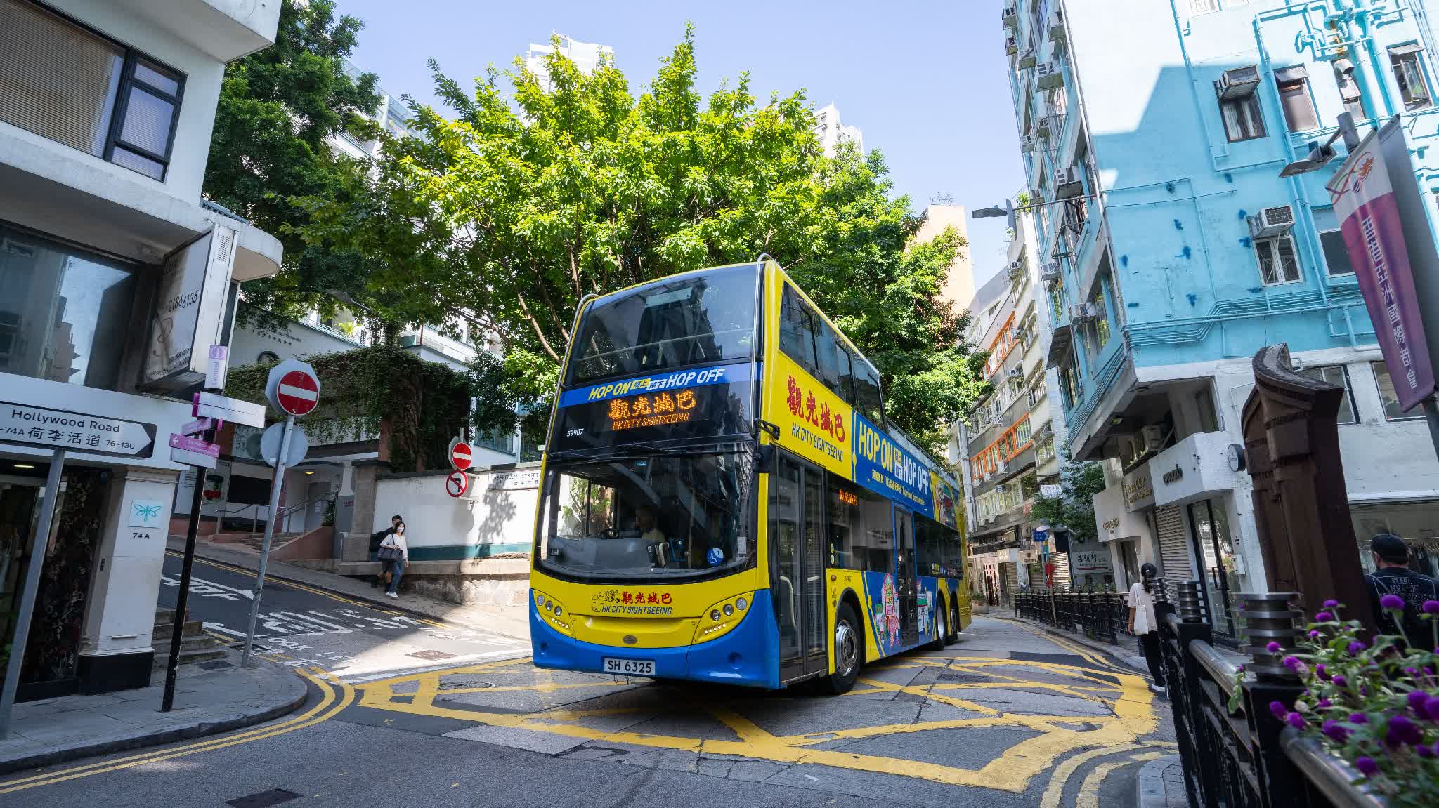 Citybus launches panda-themed open-top sightseeing bus in HK