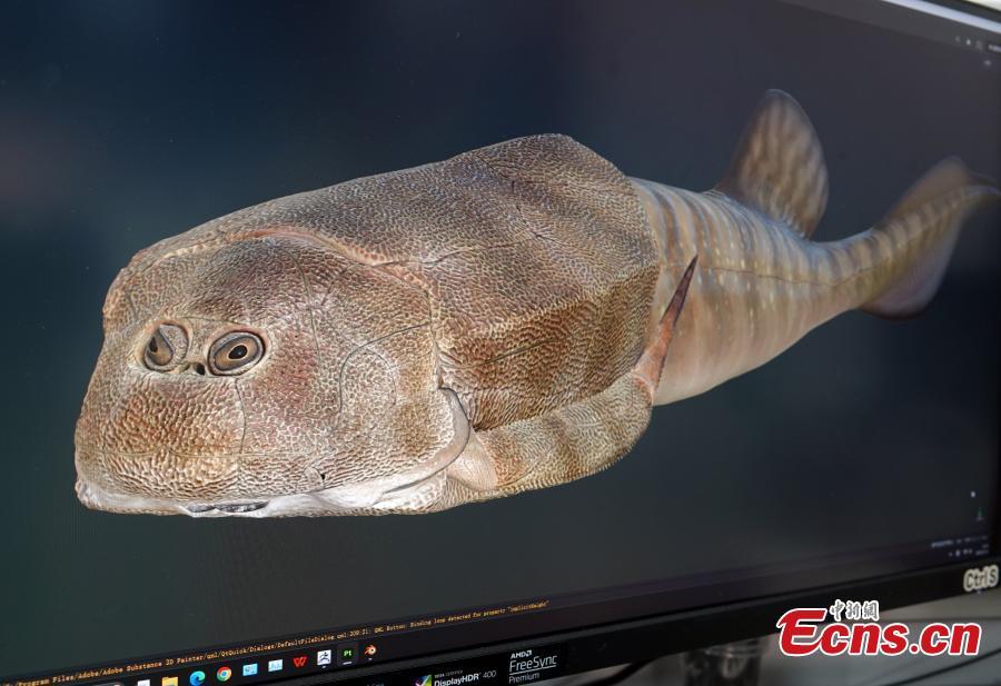 New paleofish species discovered in Yunnan Province