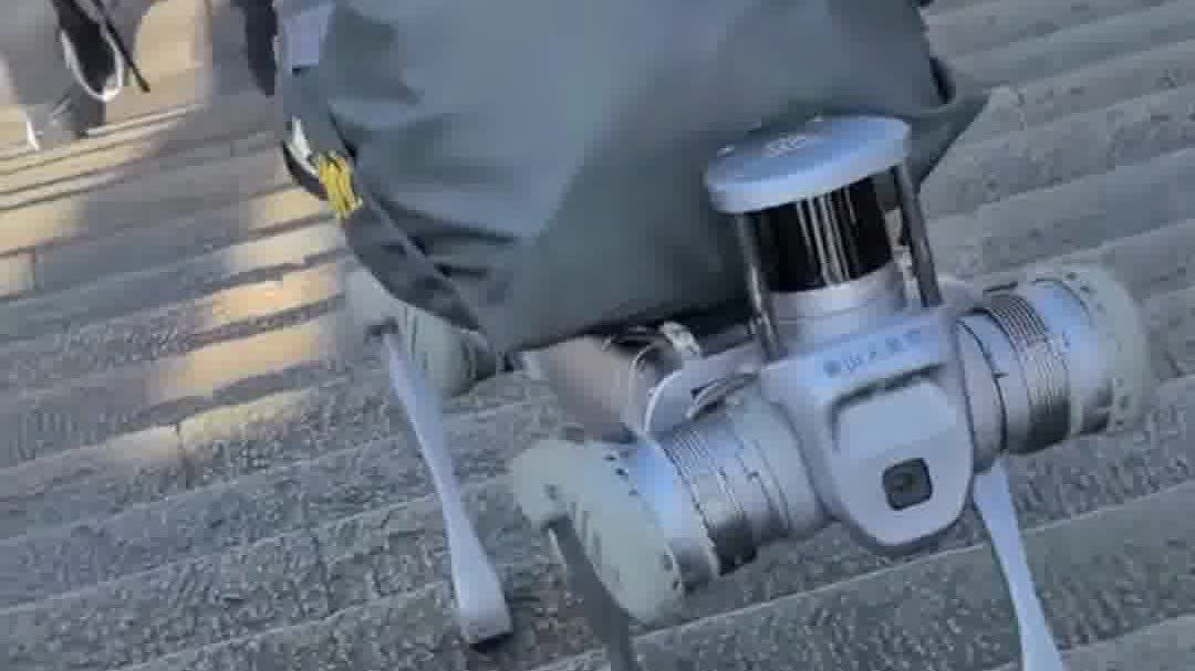 OMG | Robot dog works as 'mount heaver' in Taishan