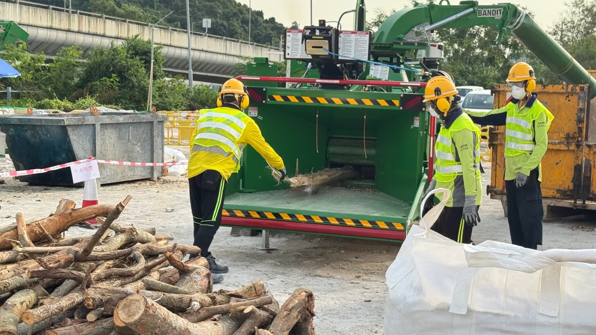 Where do fallen trees go after typhoon? Discover how EPD cleans up and ...