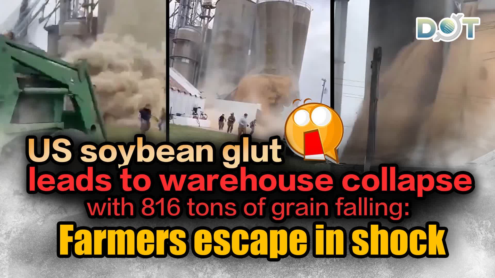 US soybean glut leads to warehouse collapse with 816 tons of grain ...