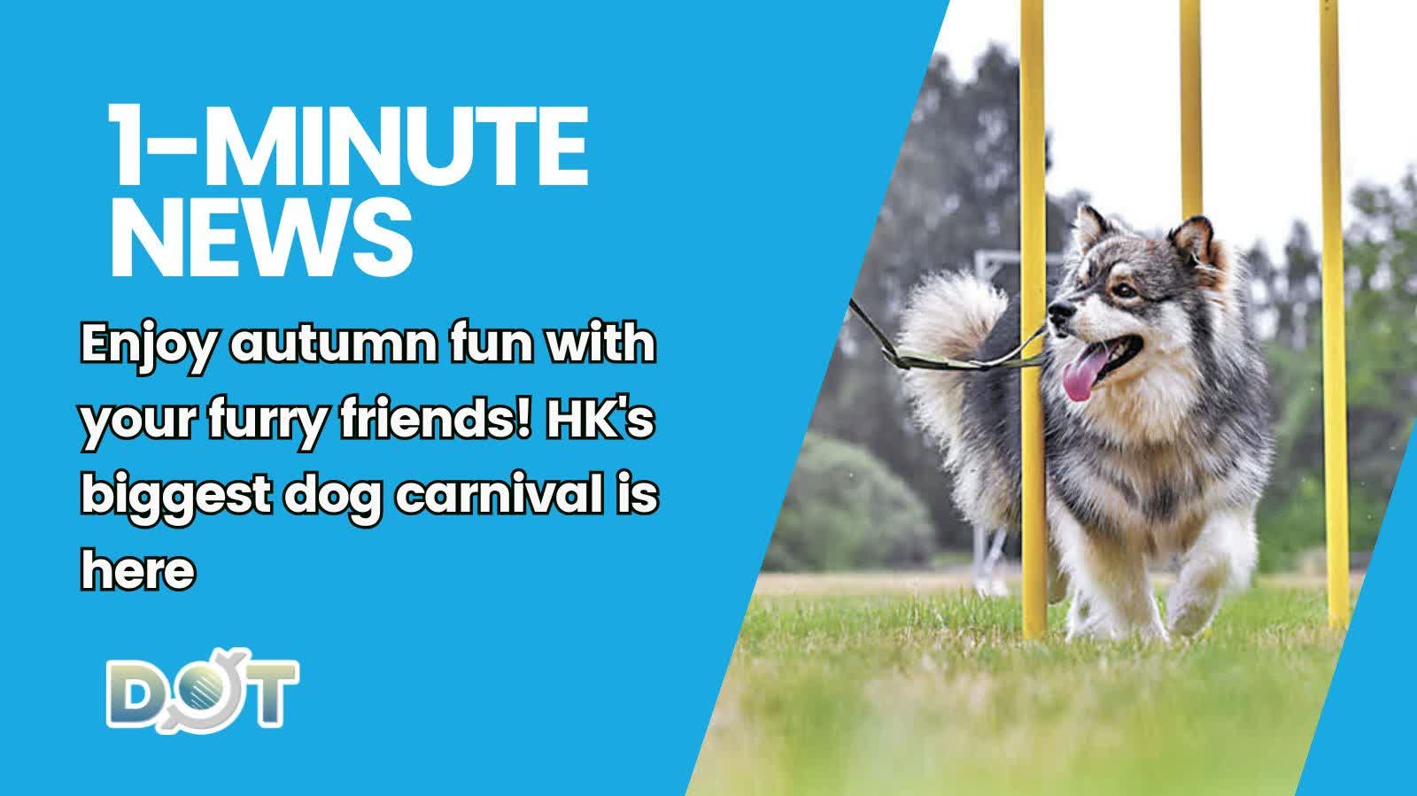 1-minute News | Enjoy autumn fun with your furry friends! HK's biggest ...